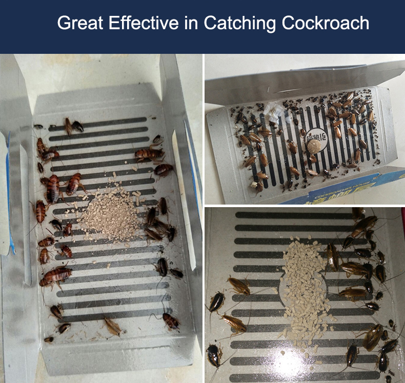 Cockroach glue bait strong Pest Roach Glue Trap Cockroach Killer Bait ...