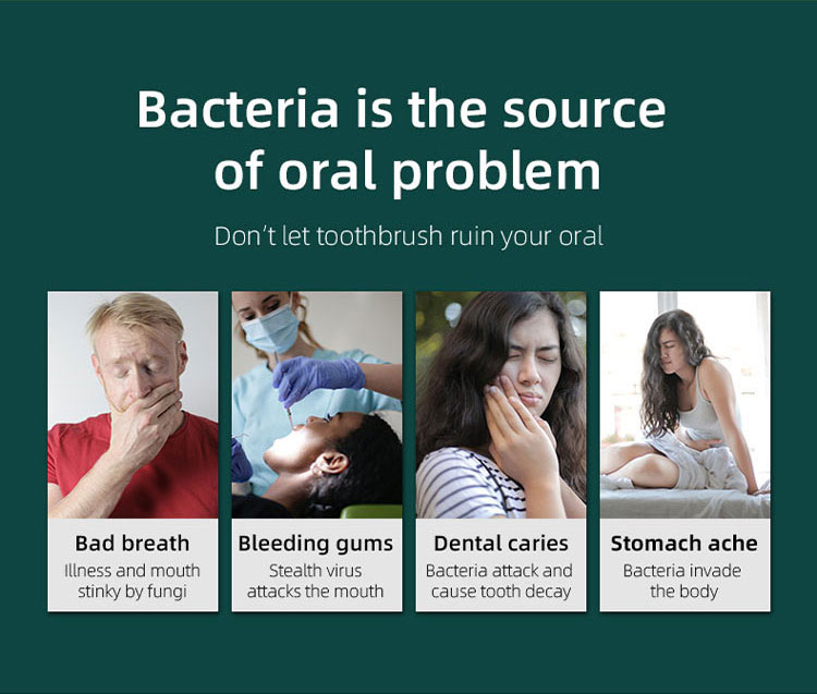 Caredite 2023 Toothbrush Sterilizer Holder With New Multi Colors, Fast ...